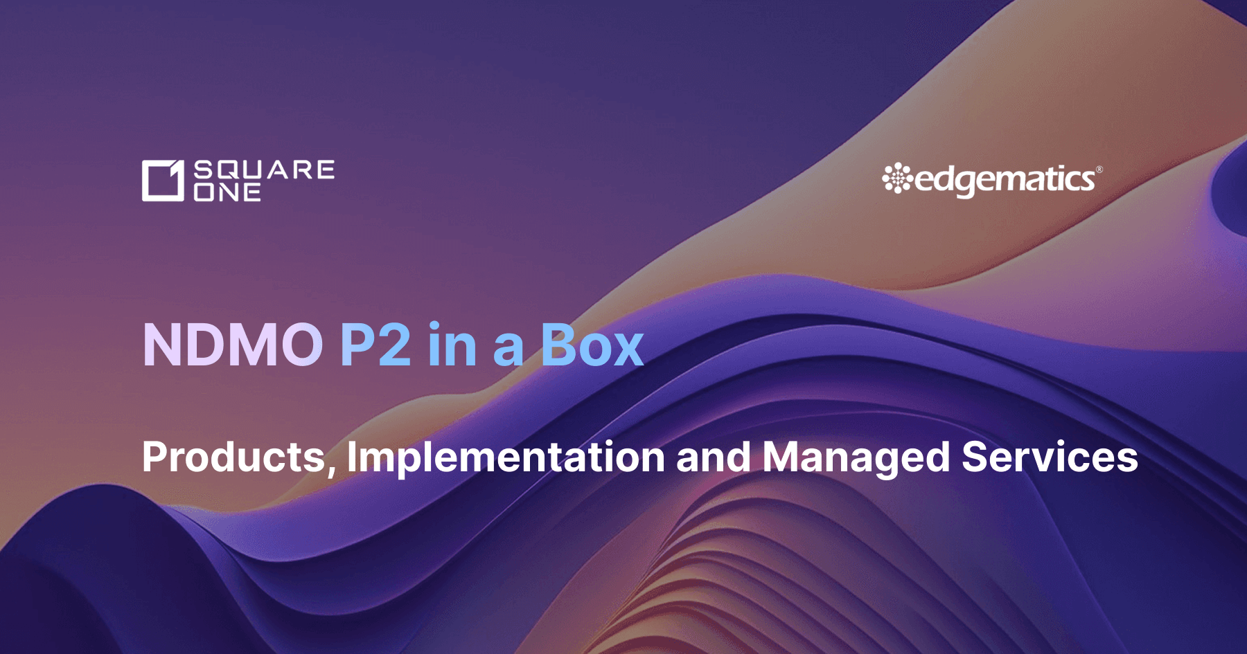 NDMO P2 in a Box: Products, Implementation & Managed Services